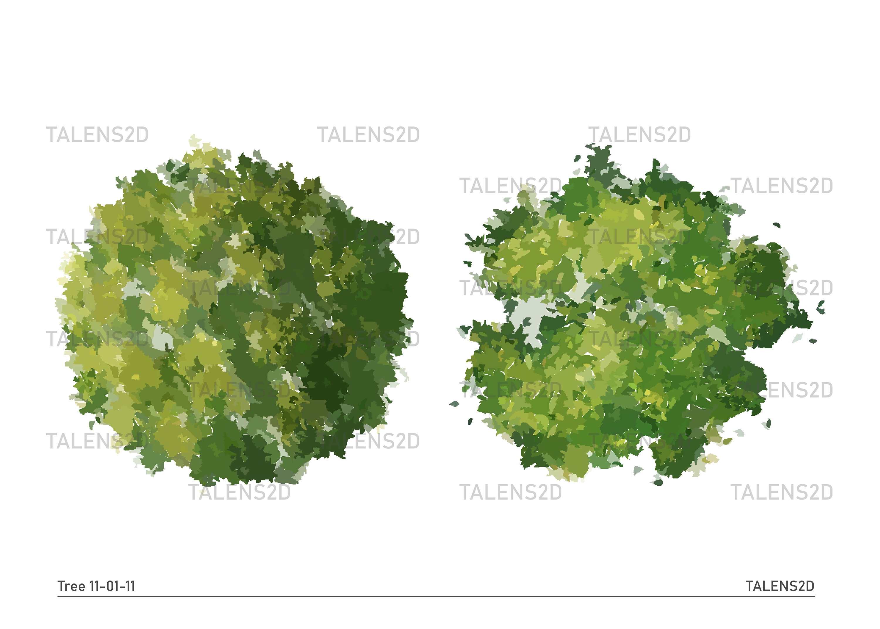 Tree Top View, 2D Landscape Clipart in PNG - Etsy