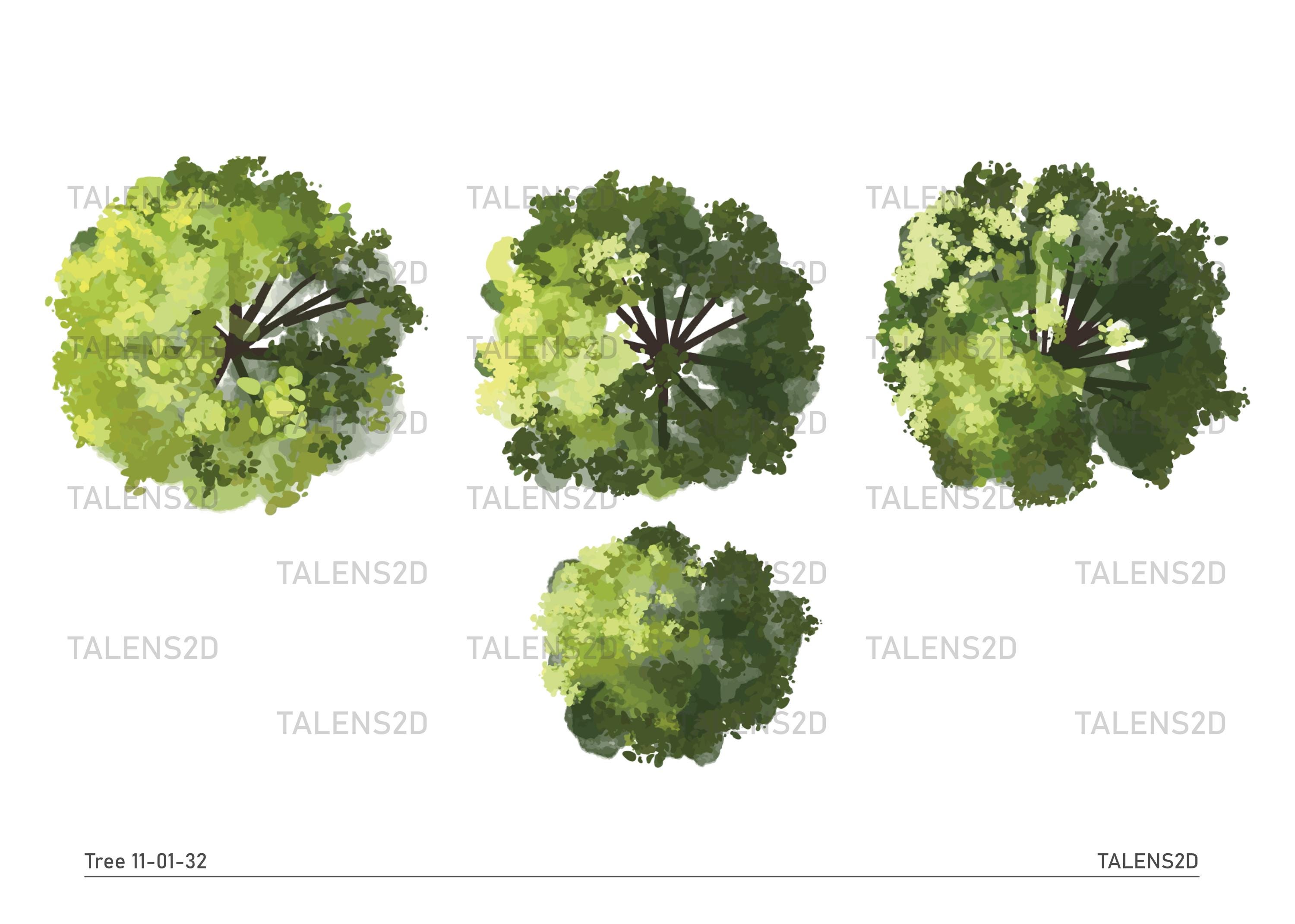 Tree Top View, 2D Landscape Clipart in PNG - Etsy