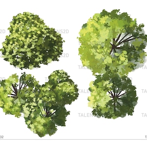 Tree Top View, 2D Landscape Clipart in PNG - Etsy