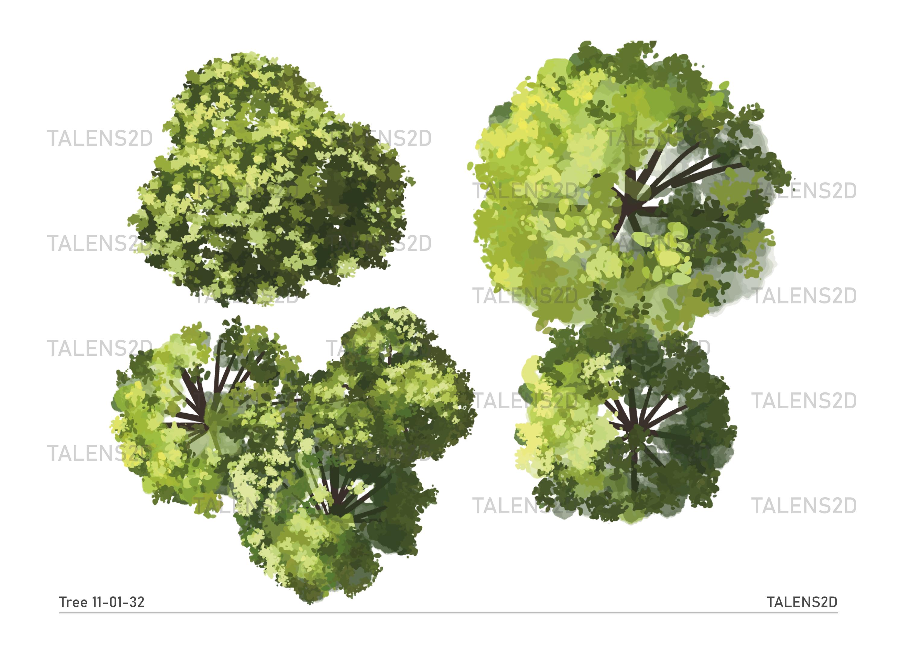Tree Top View, 2D Landscape Clipart in PNG - Etsy
