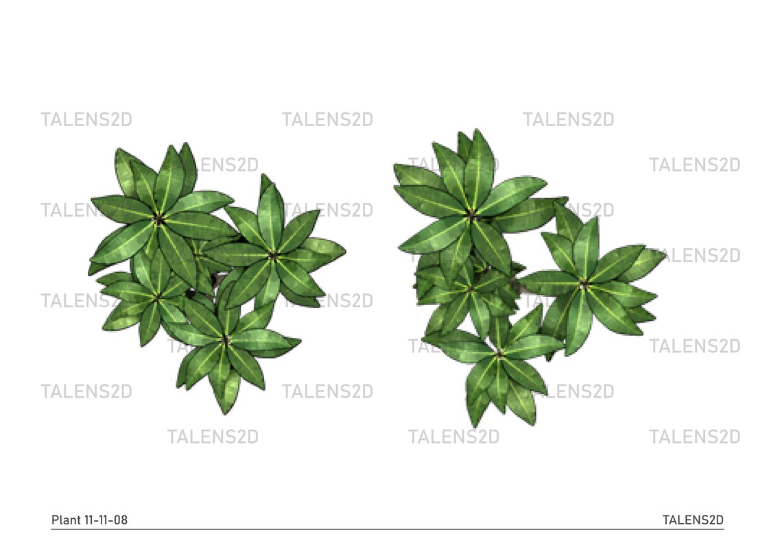 Plant Top View, Landscape Plants, Hand Painted Plant Top Symbols for ...