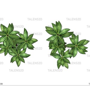 Plant Top View, Landscape Plants, Hand Painted Plant Top Symbols for ...