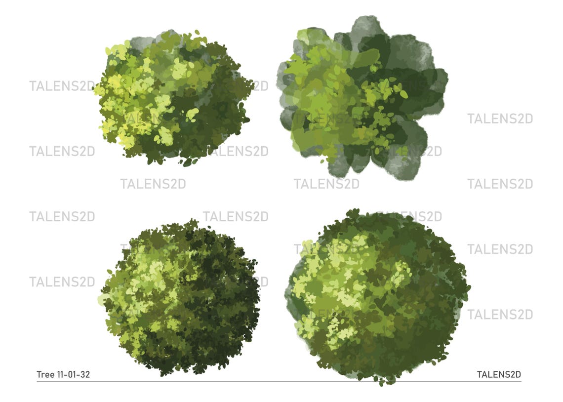 Tree Top View, 2D Landscape Clipart in PNG - Etsy