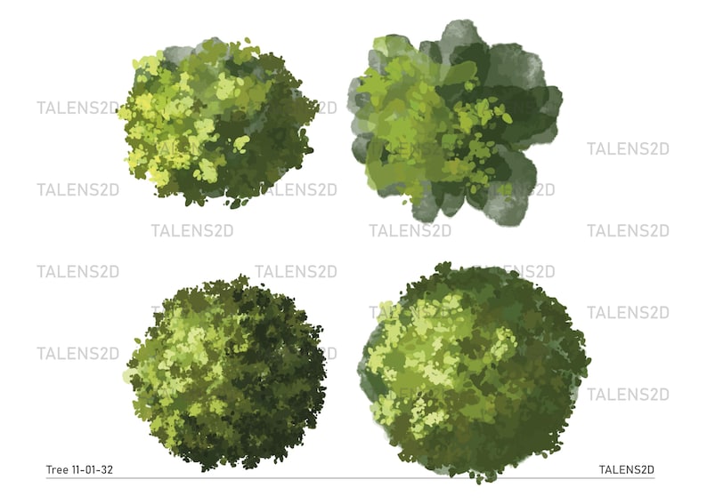 Tree Top View, 2D Landscape Clipart in PNG - Etsy