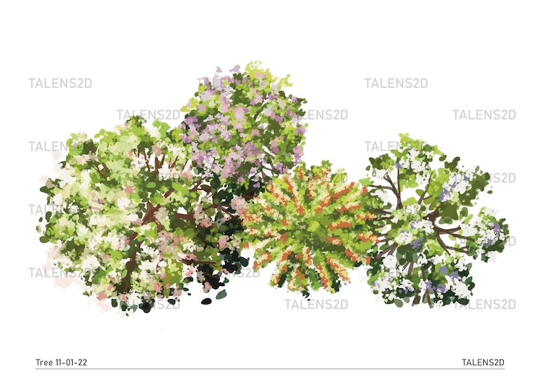 Tree Top View, 2D Landscape Clipart in PNG - Etsy