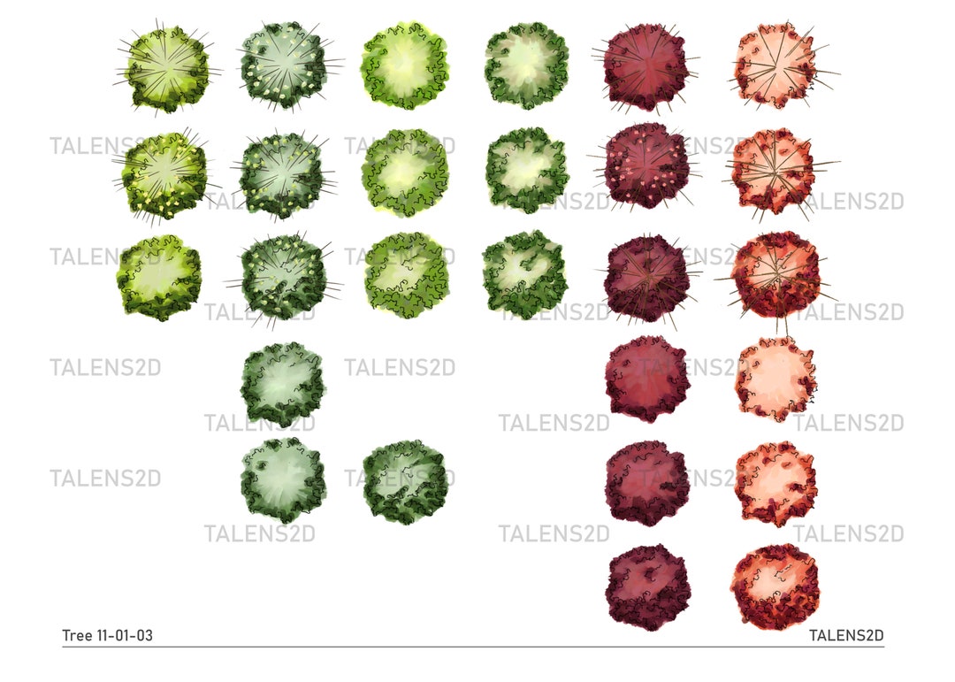 Tree Top View, 2D Landscape Clipart in PNG - Etsy