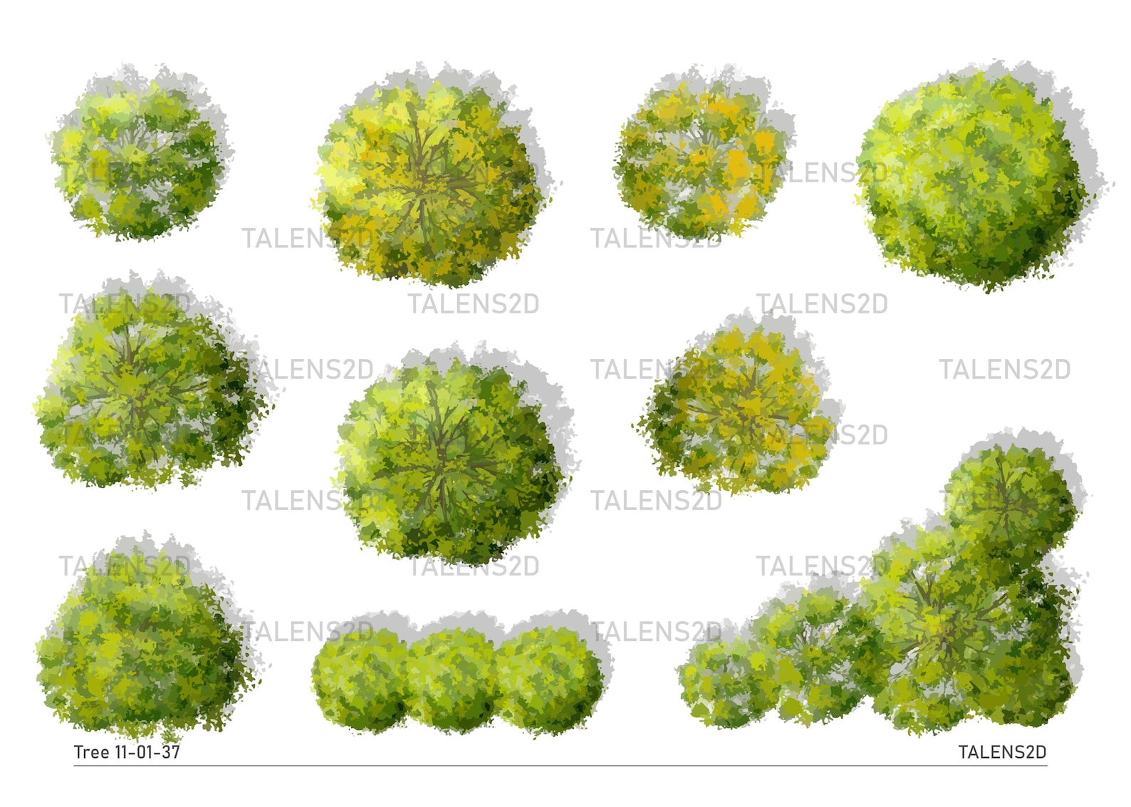 Tree Top View, 2D Landscape Clipart in PNG - Etsy