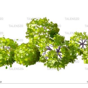 Tree Top View, 2D Landscape Clipart in PNG - Etsy
