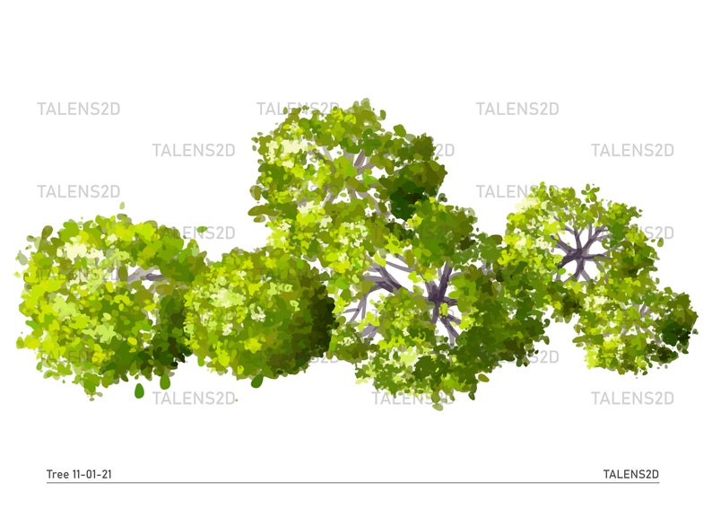 Tree Top View, 2D Landscape Clipart in PNG - Etsy