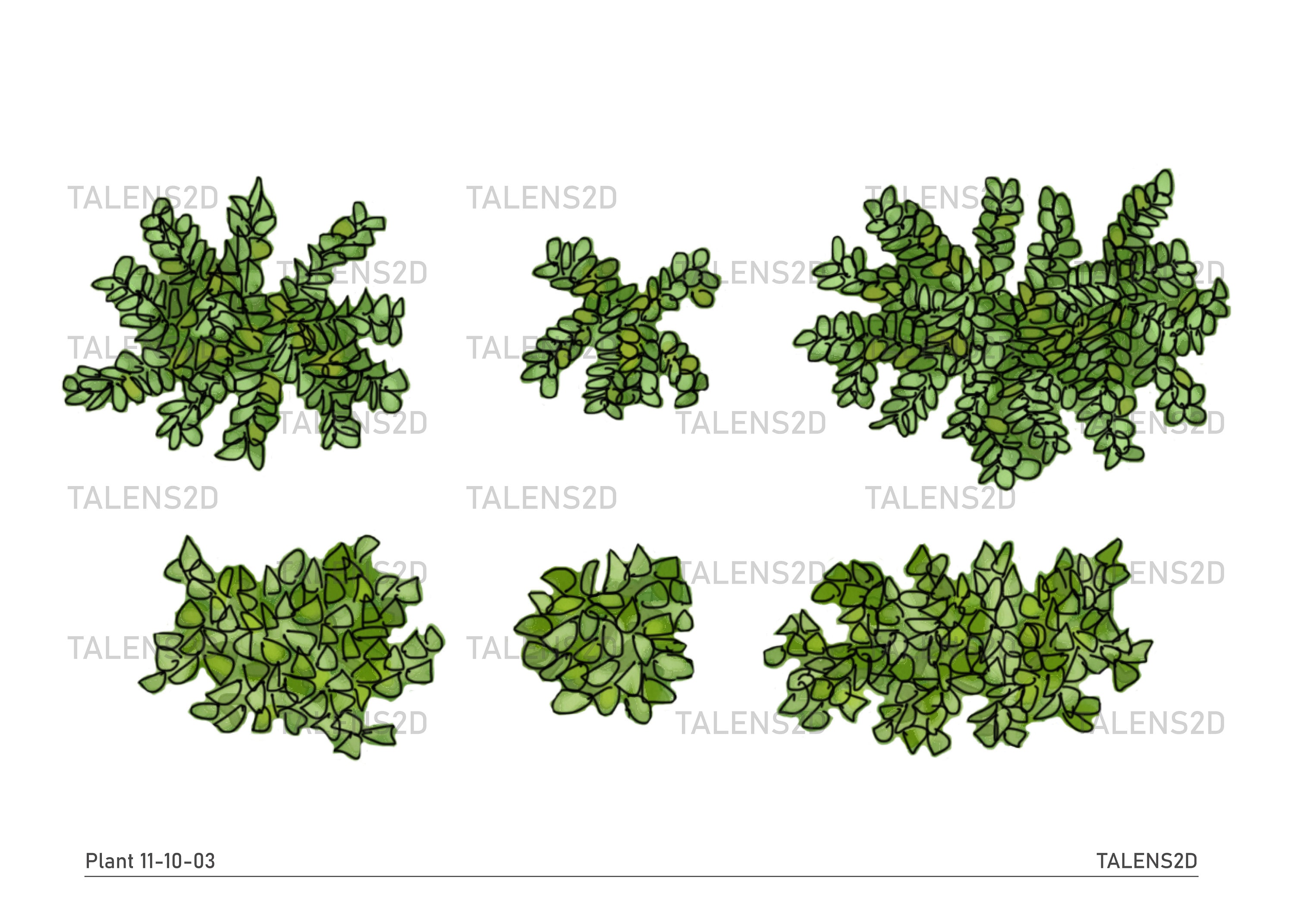 Plant Top View, 2D Landscape Clipart in PNG - Etsy