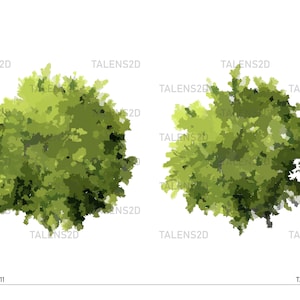 Tree Top View, 2D Landscape Clipart in PNG - Etsy