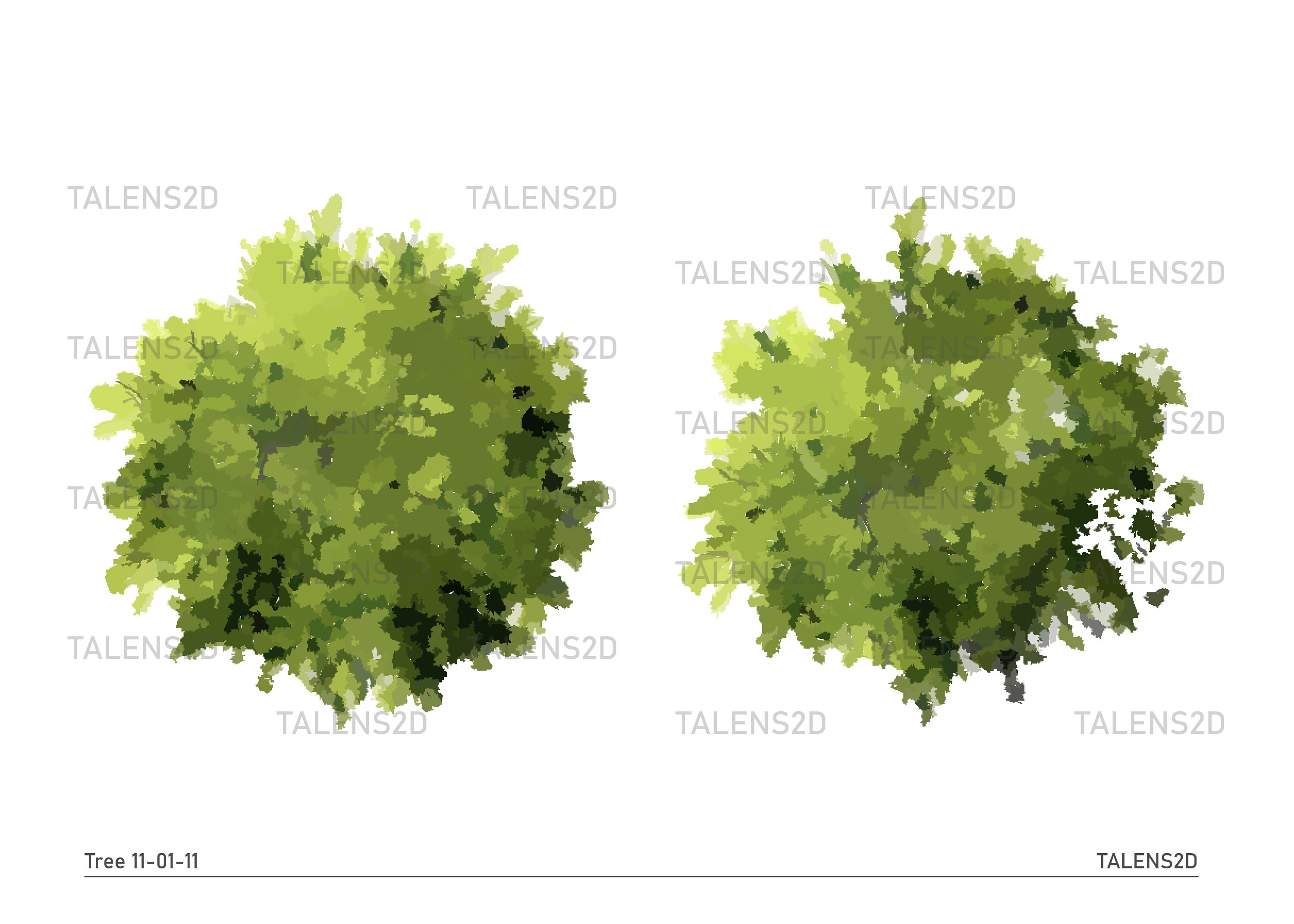Tree Top View, 2D Landscape Clipart in PNG - Etsy