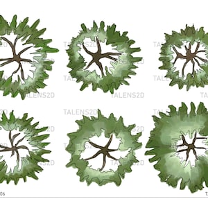 Tree Top View, 2D Landscape Clipart in PNG - Etsy