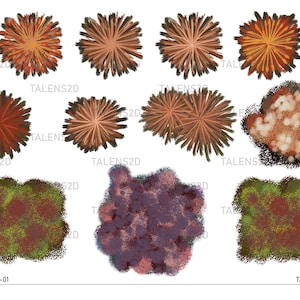 Plant Top View, 2D Landscape Clipart in PNG - Etsy