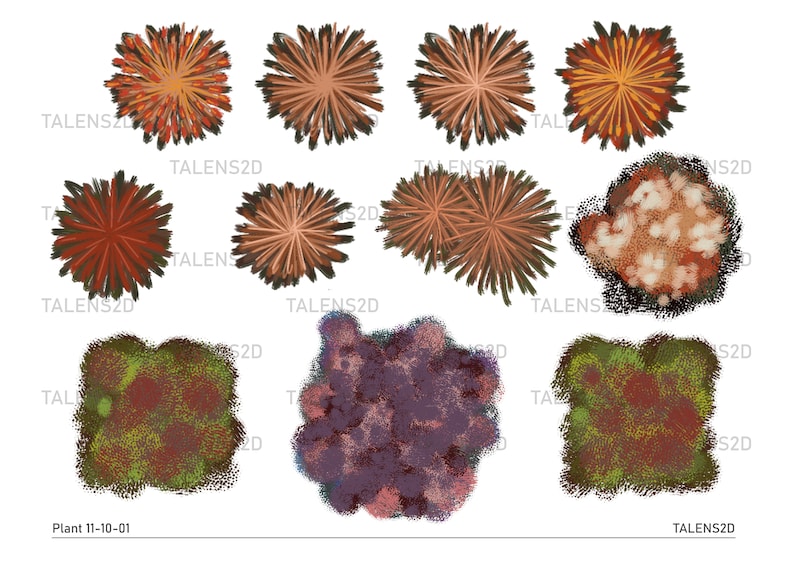 Plant Top View, 2D Landscape Clipart in PNG - Etsy