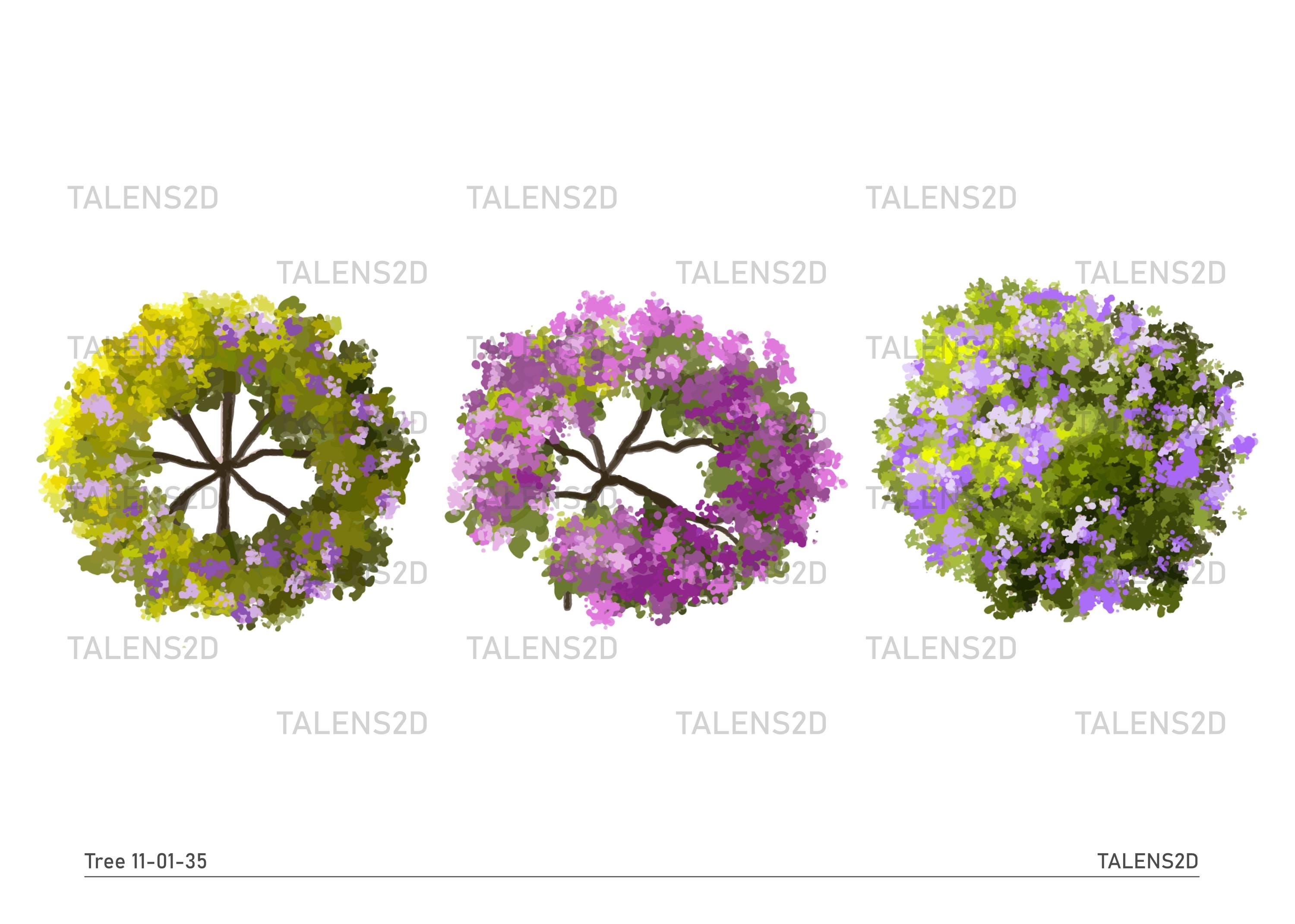 Tree Top View, 2D Landscape Clipart in PNG - Etsy