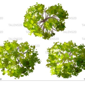 Tree Top View, 2D Landscape Clipart in PNG - Etsy