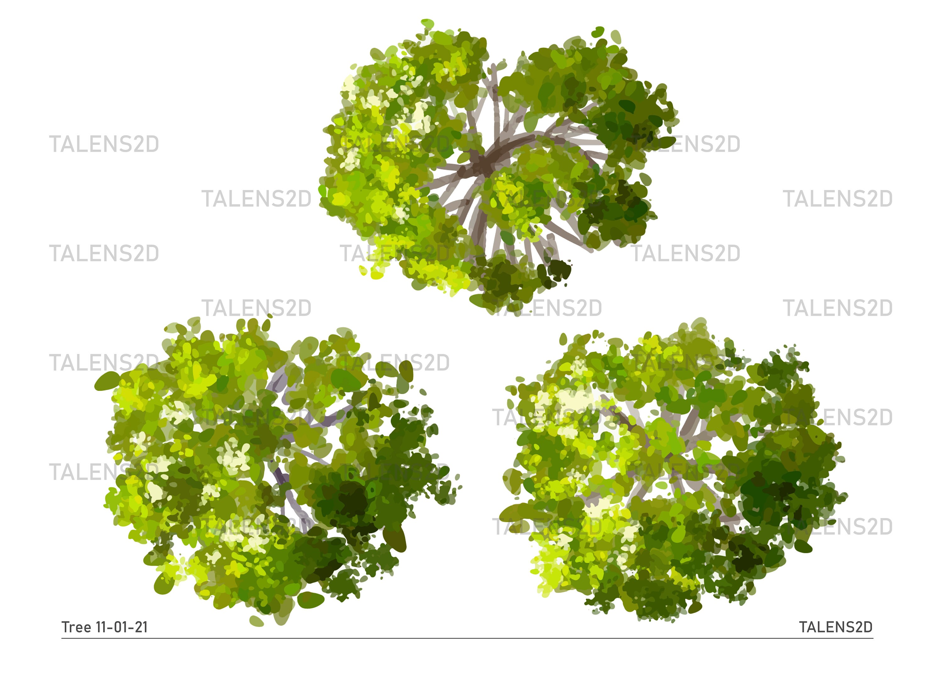 Tree Top View, 2D Landscape Clipart in PNG - Etsy