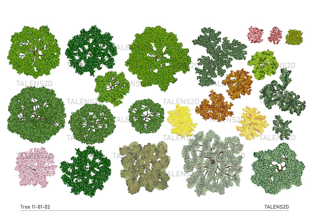 Tree Top View, 2D Landscape Clipart in PNG - Etsy