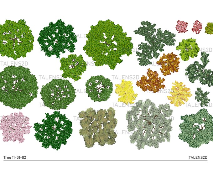 Tree Top View Svg, Landscape Tree Plan View, Tree Stamps, Flat Tree ...
