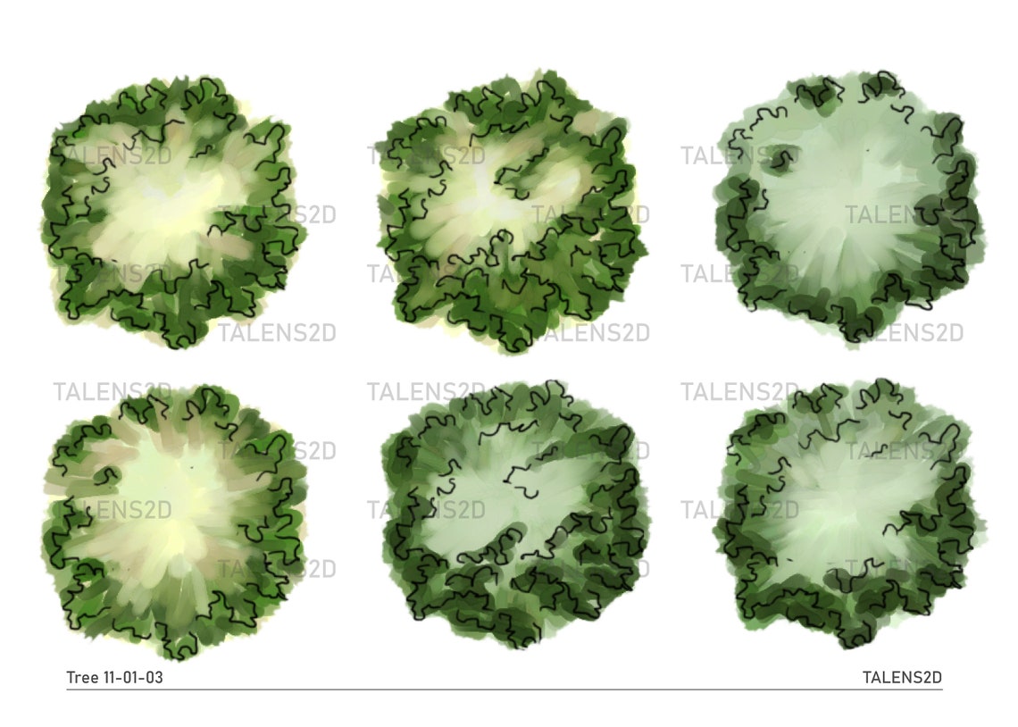 Tree Top View, 2D Landscape Clipart in PNG - Etsy