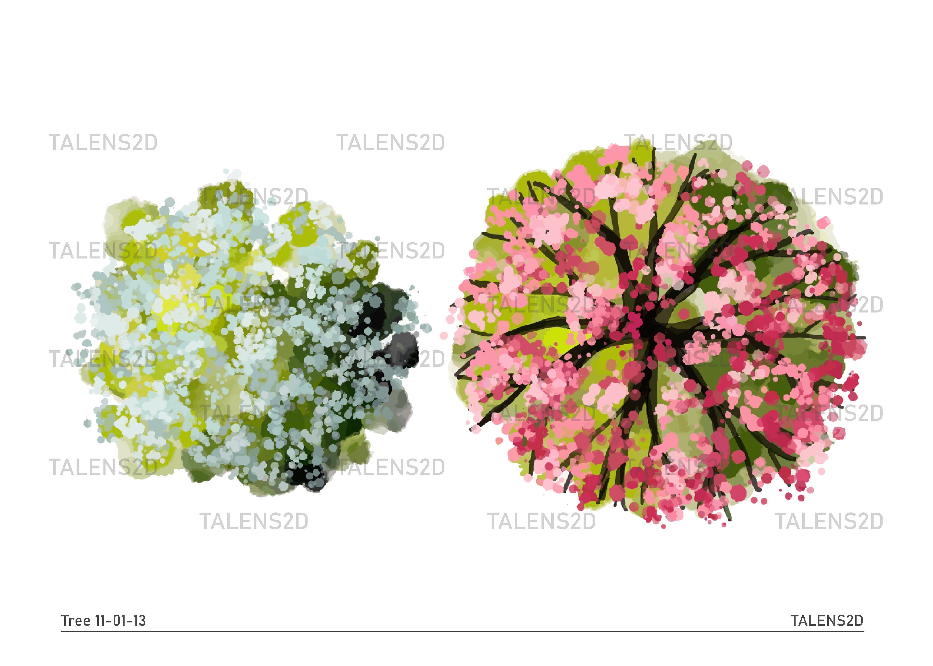 Tree Top View, 2D Landscape Clipart in PNG - Etsy