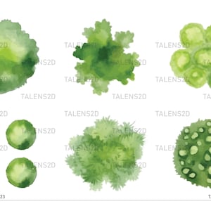 Tree Top View, 2D Landscape Clipart in PNG - Etsy