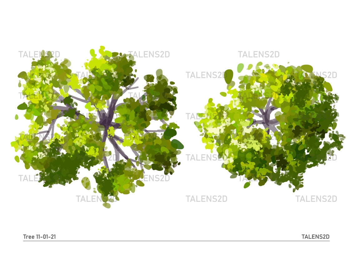 Tree Top View, 2D Landscape Clipart in PNG - Etsy