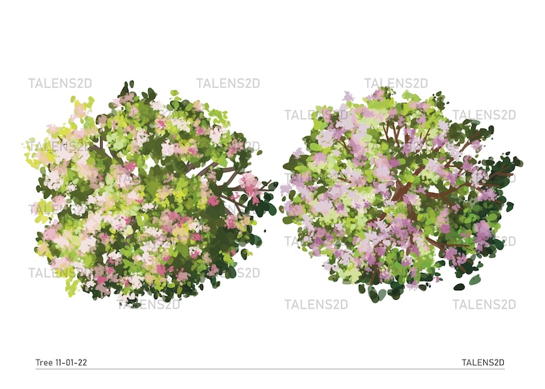Tree Top View, 2D Landscape Clipart in PNG - Etsy