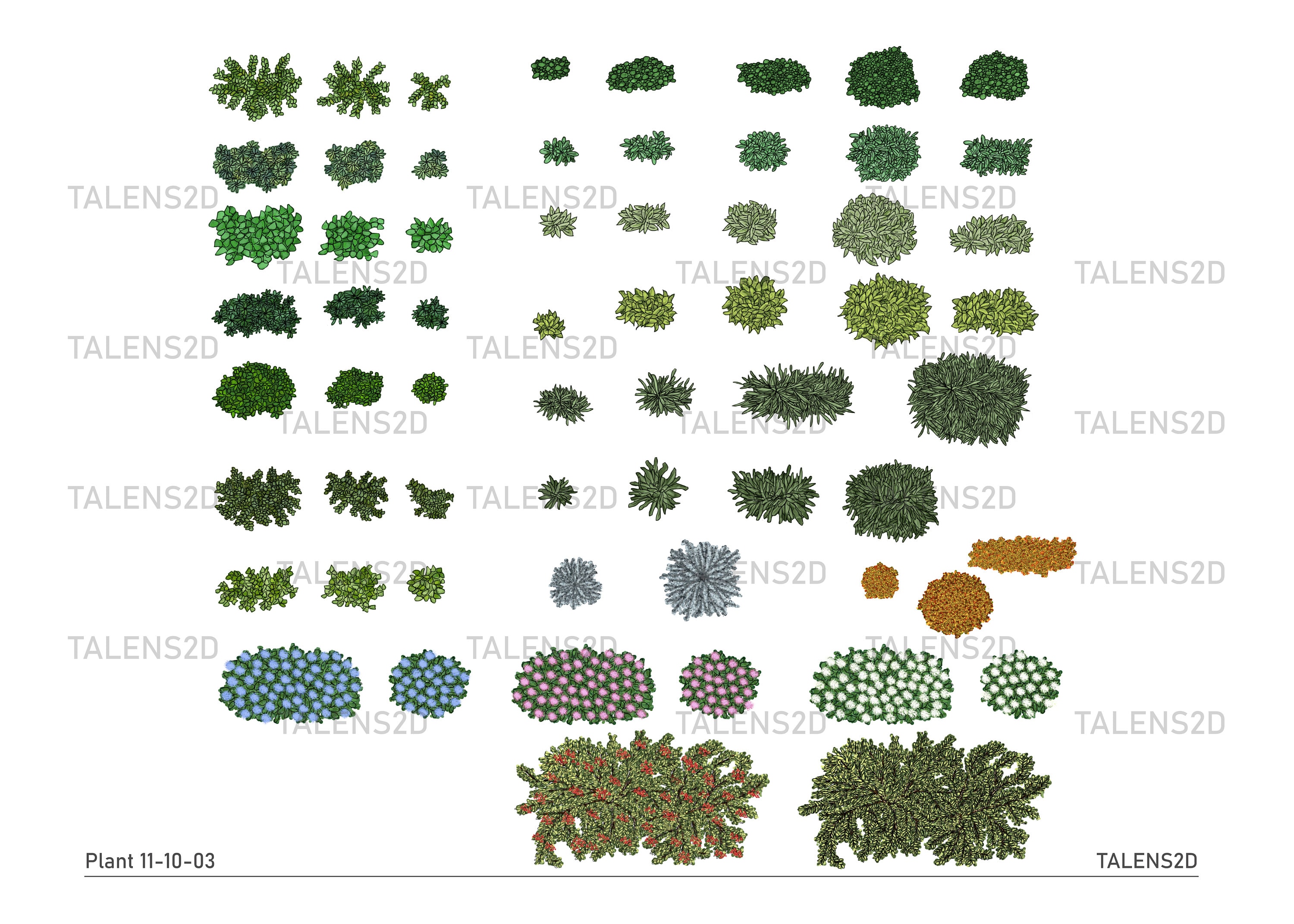 Plant Top View, 2D Landscape Clipart in PNG - Etsy