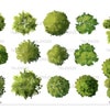 Tree Top View, 2D Landscape Clipart in PNG - Etsy