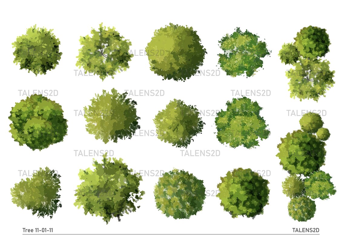 Tree Top View, 2D Landscape Clipart in PNG - Etsy