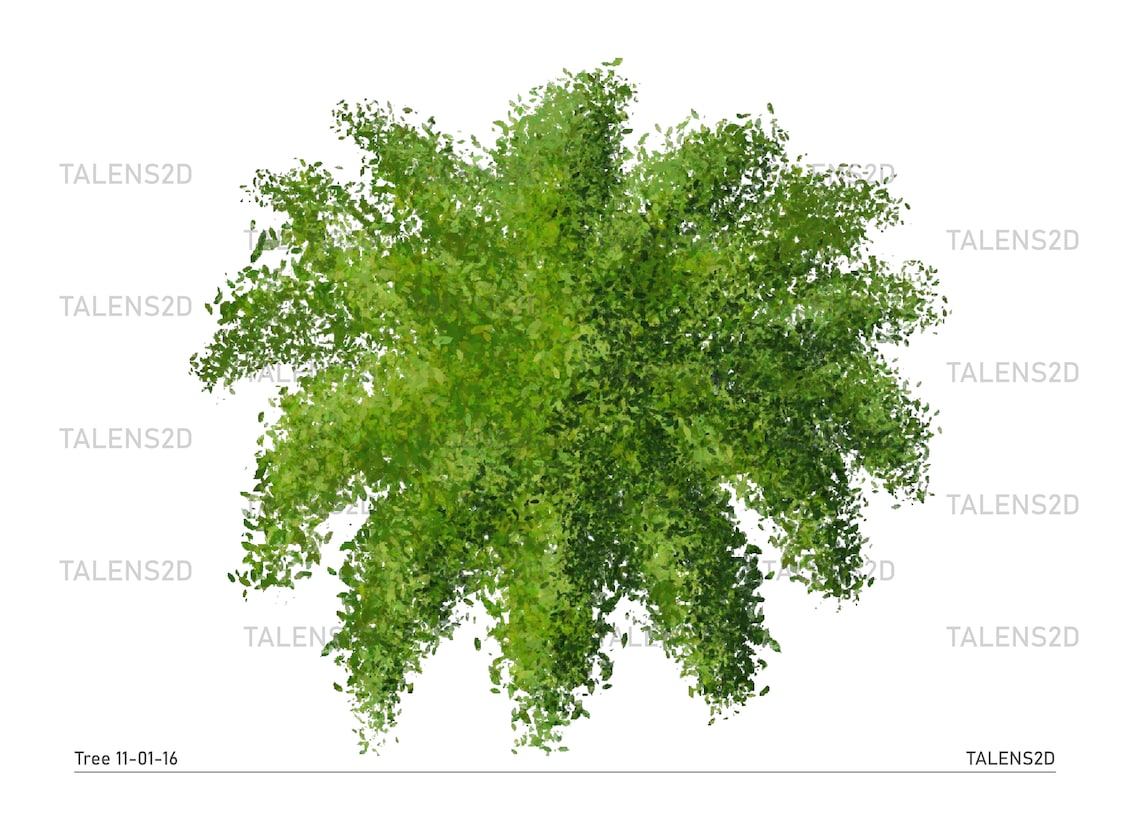Tree Top View, 2D Landscape Clipart in PNG - Etsy