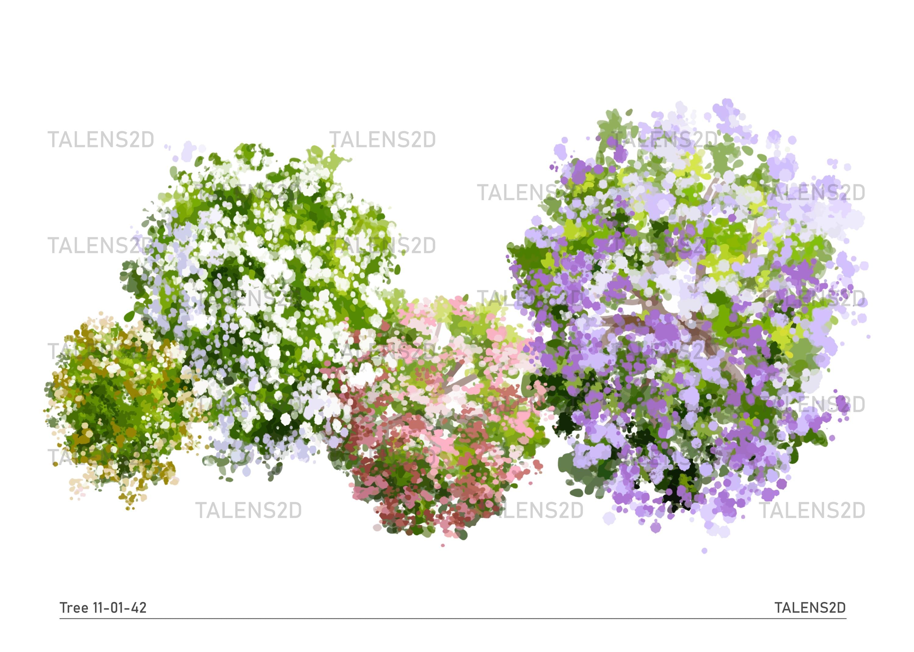 Tree Top View, 2D Landscape Clipart in PNG - Etsy