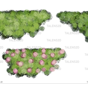 Plant Top View, 2D Landscape Clipart in PNG - Etsy