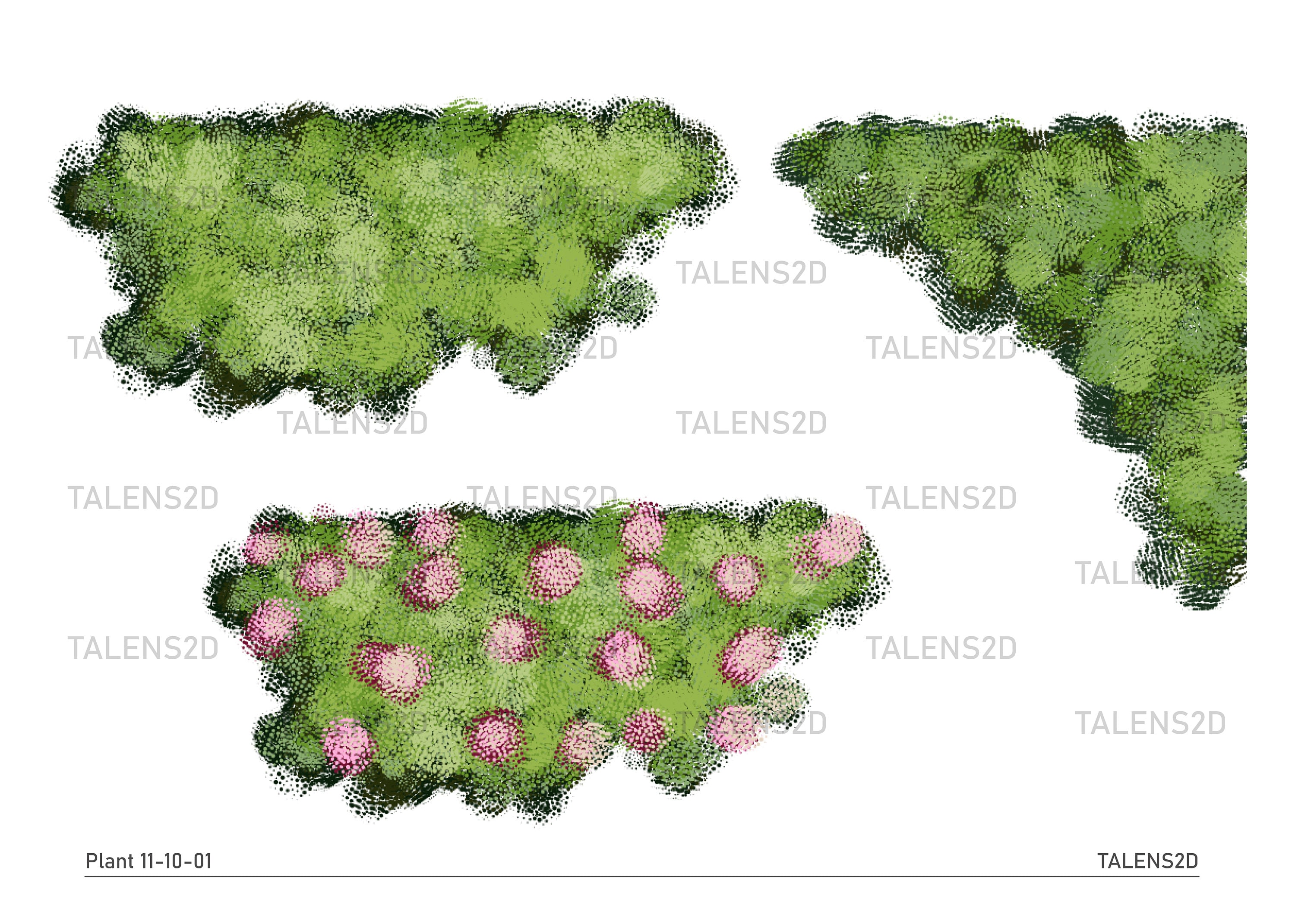 Plant Top View, 2D Landscape Clipart in PNG - Etsy