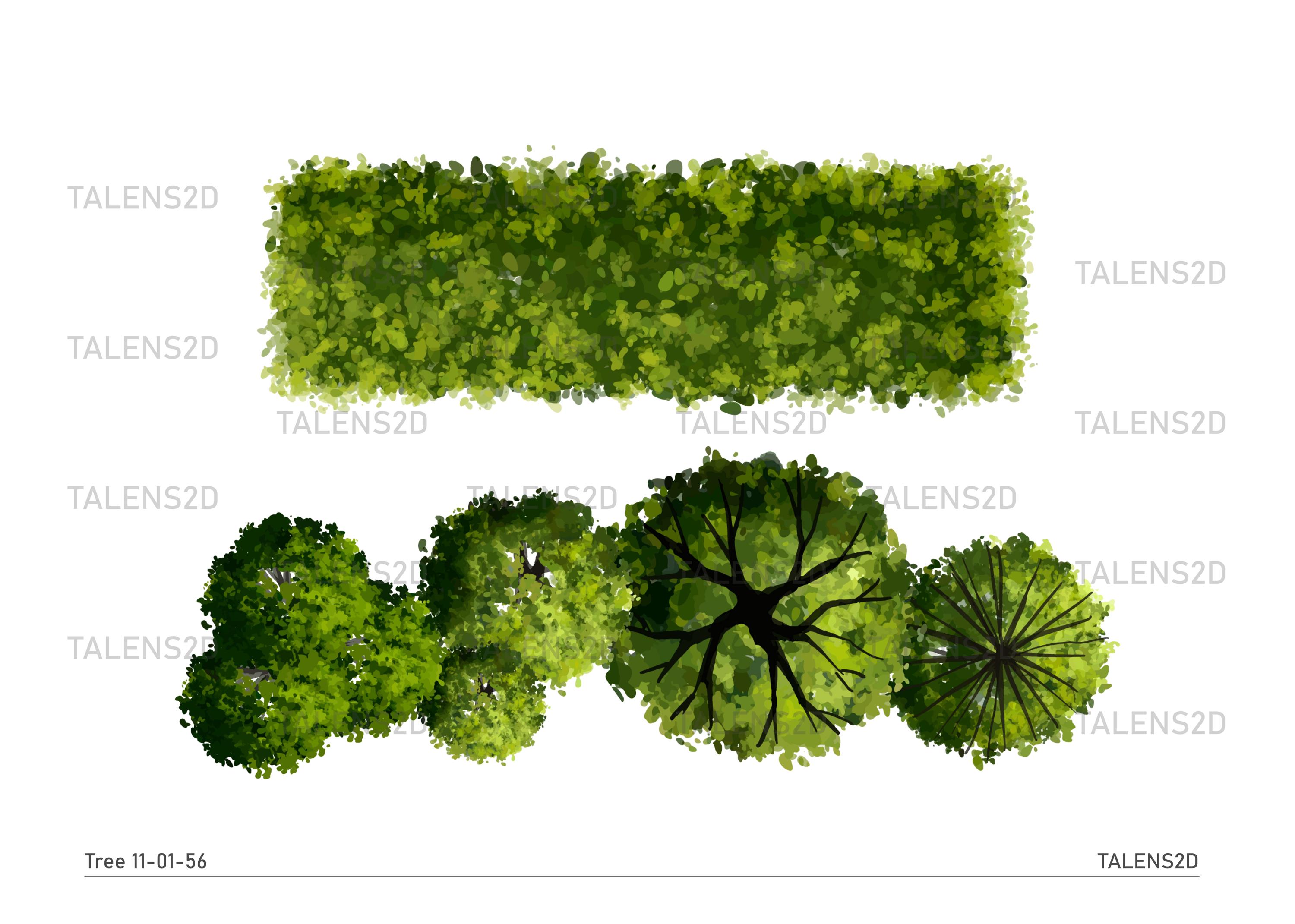 Tree Top View, 2D Landscape Clipart in PNG - Etsy
