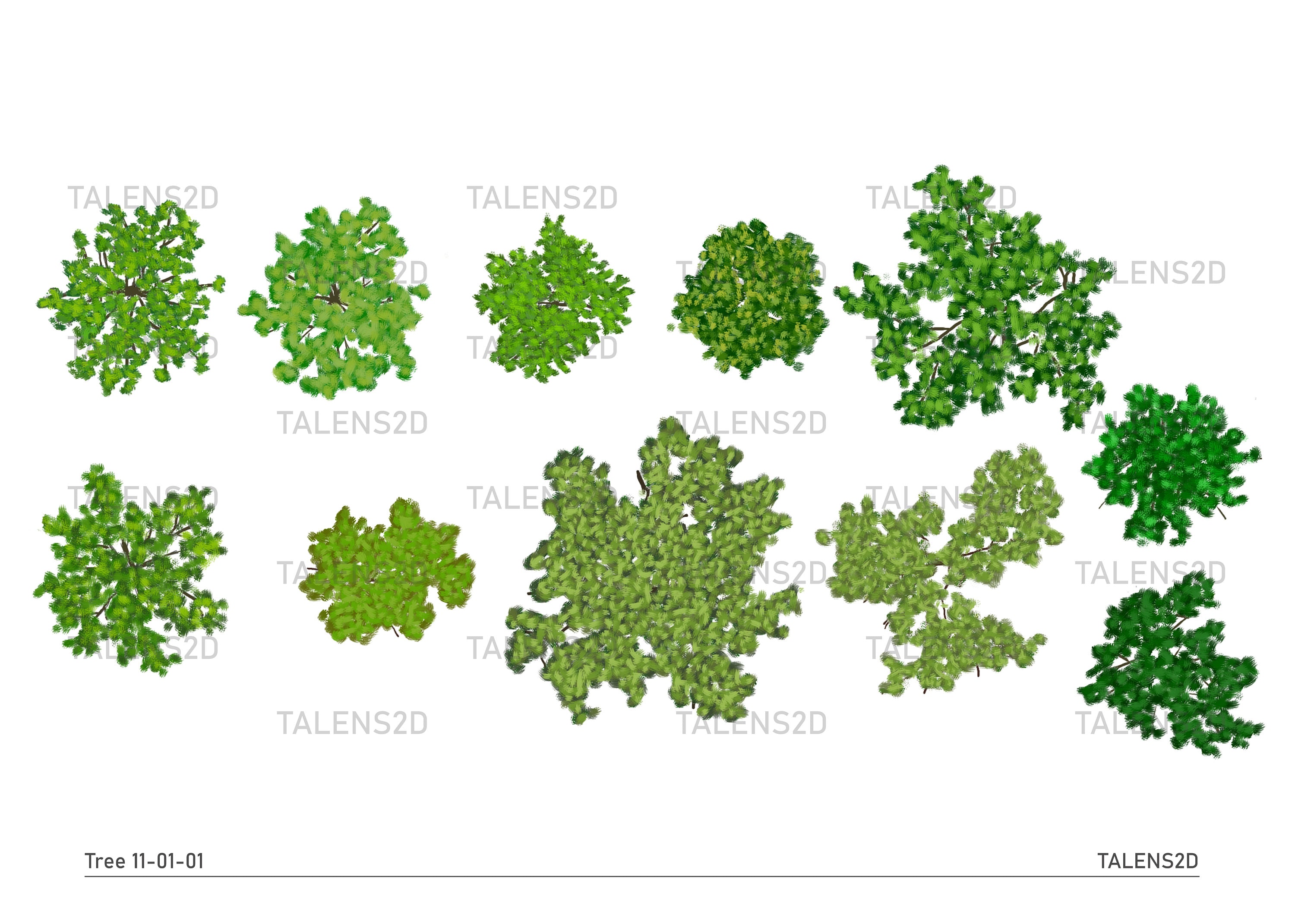 Tree Top View, 2D Landscape Clipart in PNG - Etsy