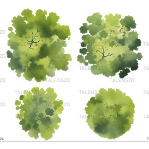 Tree Top View, 2D Landscape Clipart in PNG - Etsy