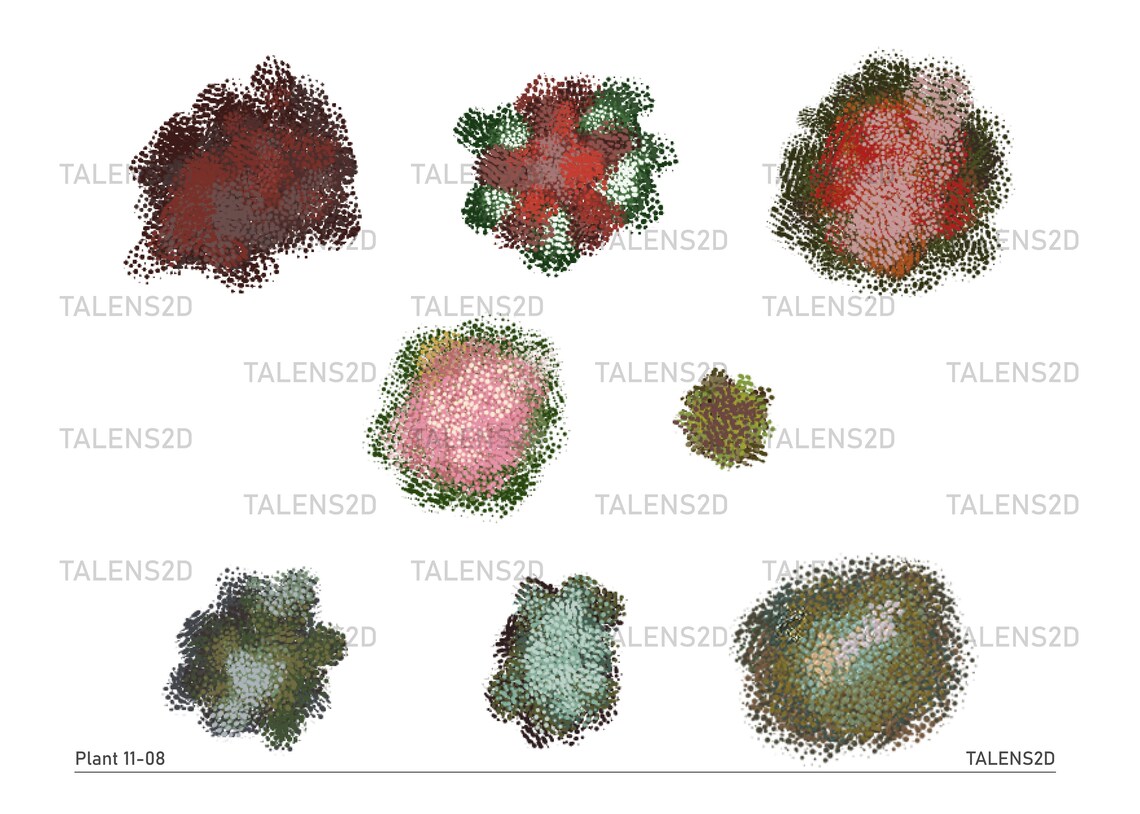 Plant Top View, 2D Landscape Clipart in PNG - Etsy