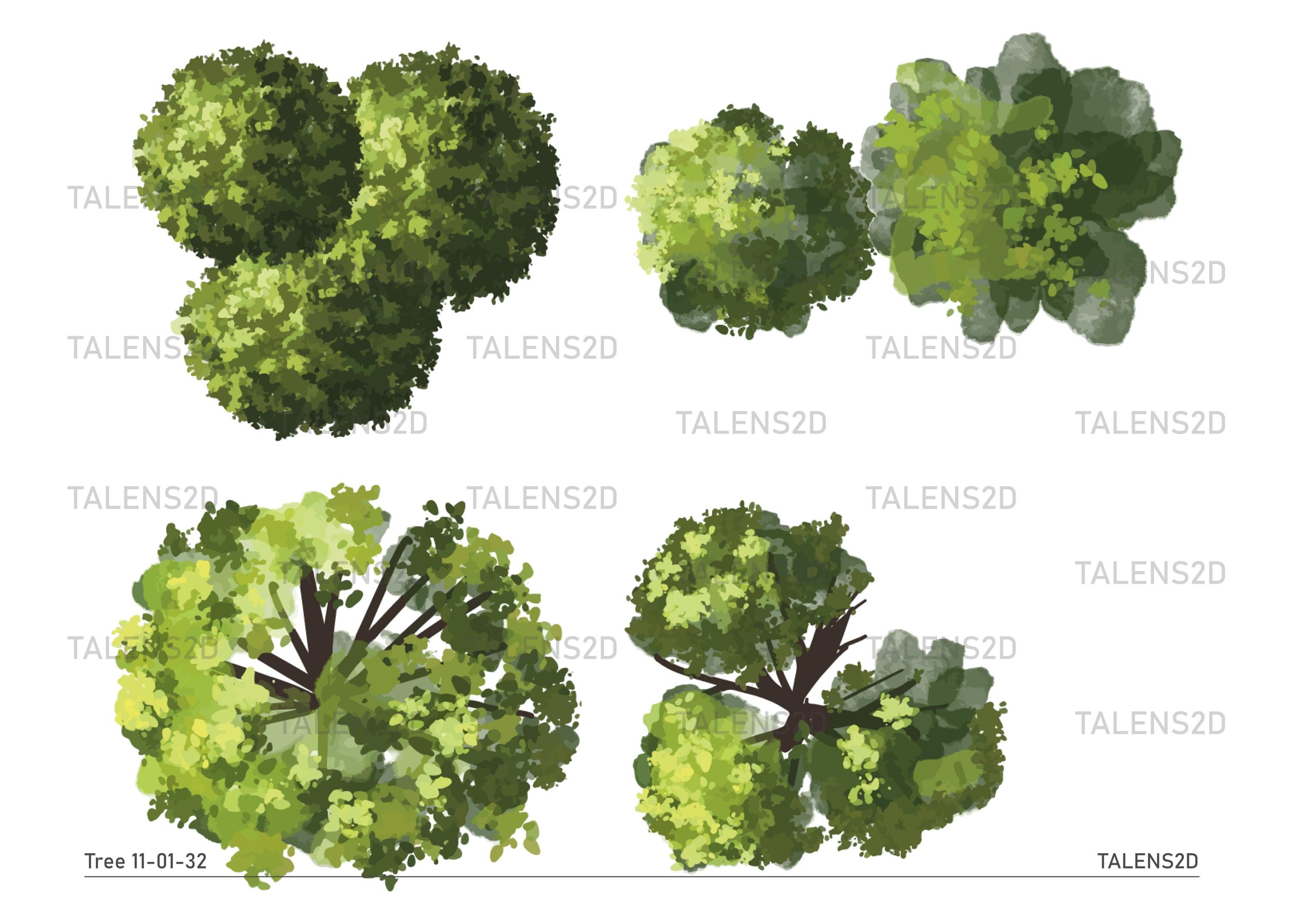 Tree Top View, 2D Landscape Clipart in PNG - Etsy