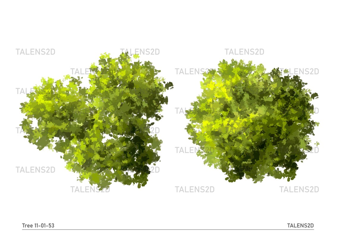 Tree Top View, 2D Landscape Clipart in PNG - Etsy