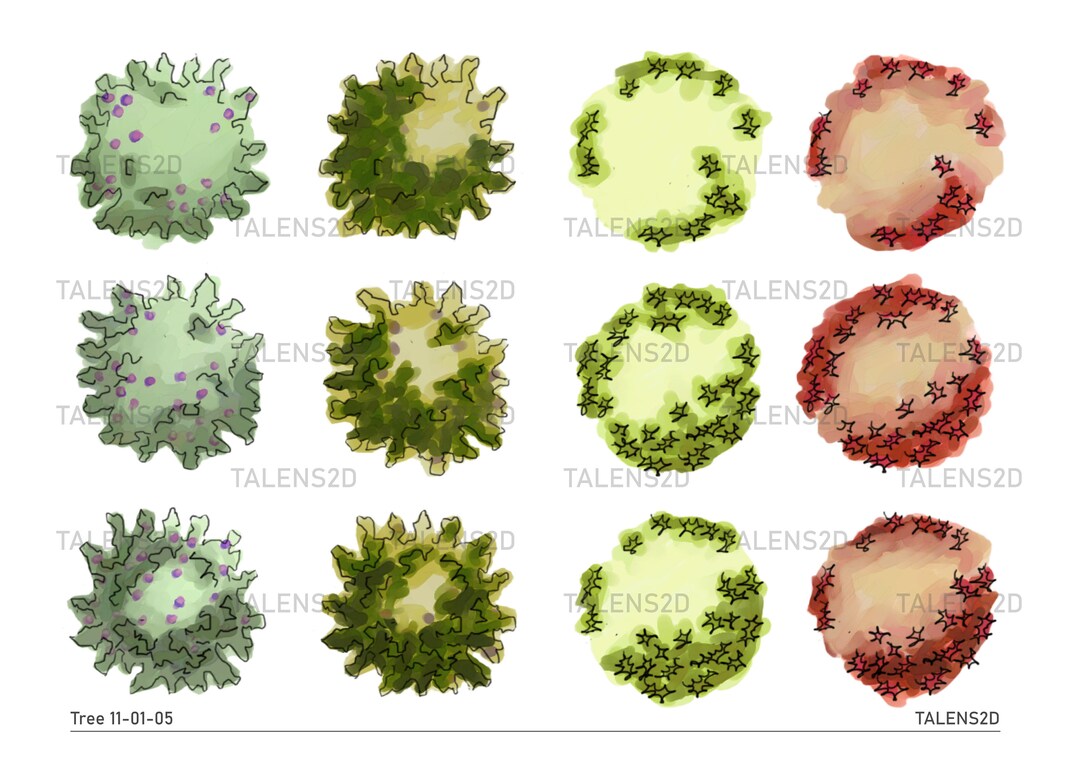 Tree Top View, 2D Landscape Clipart in PNG - Etsy