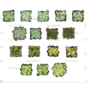 Plant Top View, 2D Landscape Clipart in PNG - Etsy