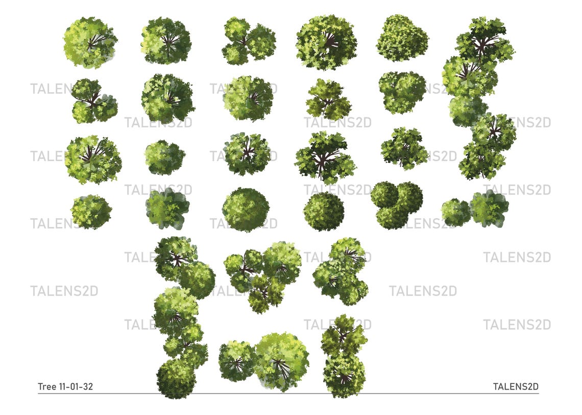 Tree Top View, 2D Landscape Clipart in PNG - Etsy