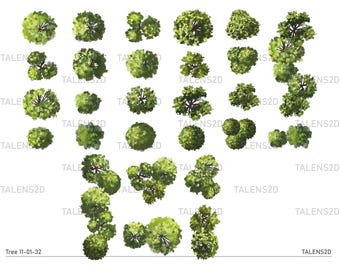 Tree Top View, 2D Landscape Clipart in PNG - Etsy