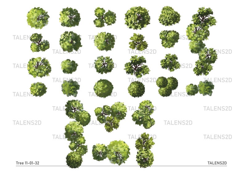 Tree Top View, 2D Landscape Clipart in PNG - Etsy