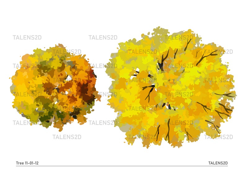 Tree Top View, 2D Landscape Clipart in PNG - Etsy