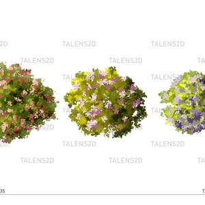 Tree Top View, 2D Landscape Clipart in PNG - Etsy