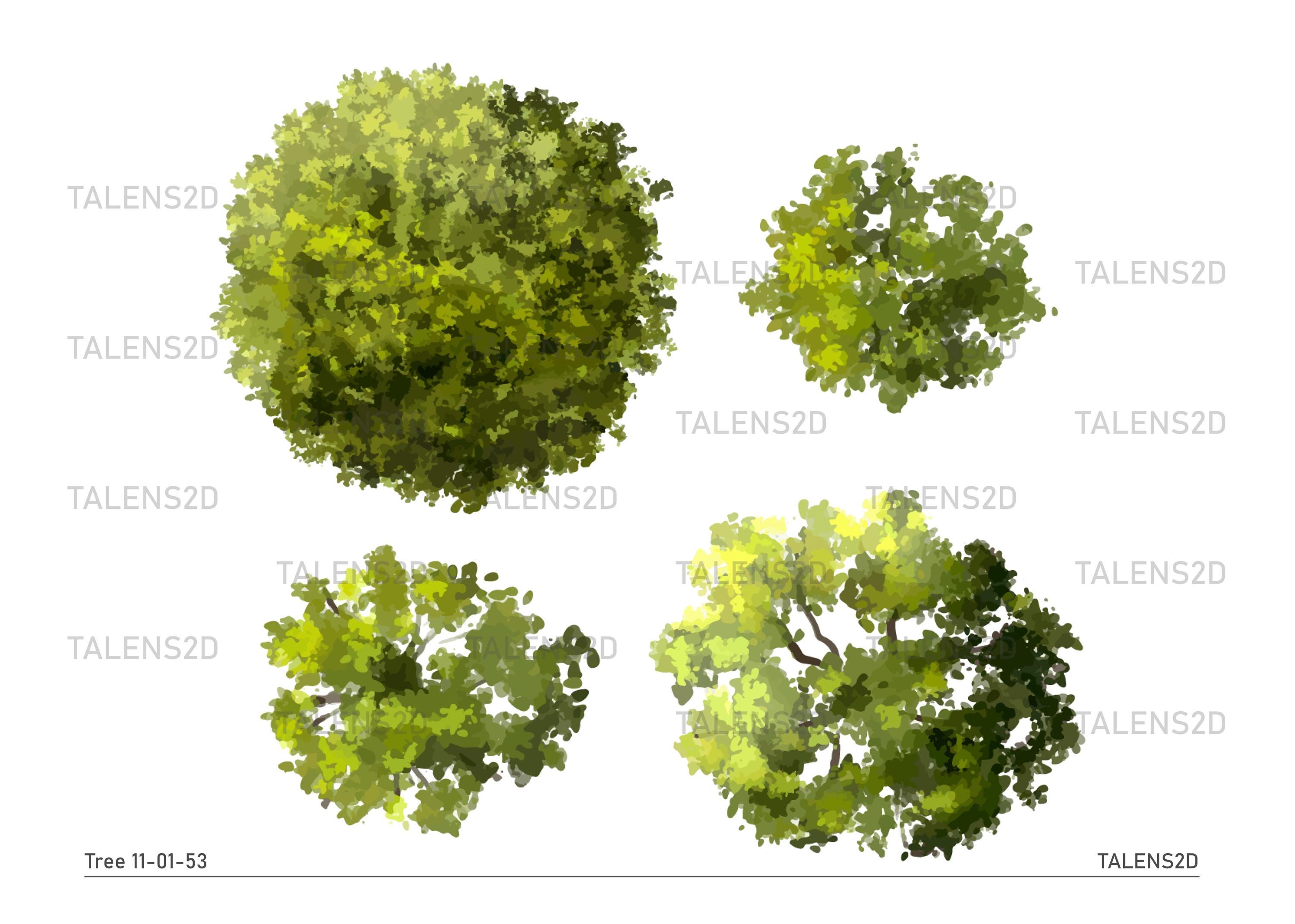 Tree Top View, 2D Landscape Clipart in PNG - Etsy
